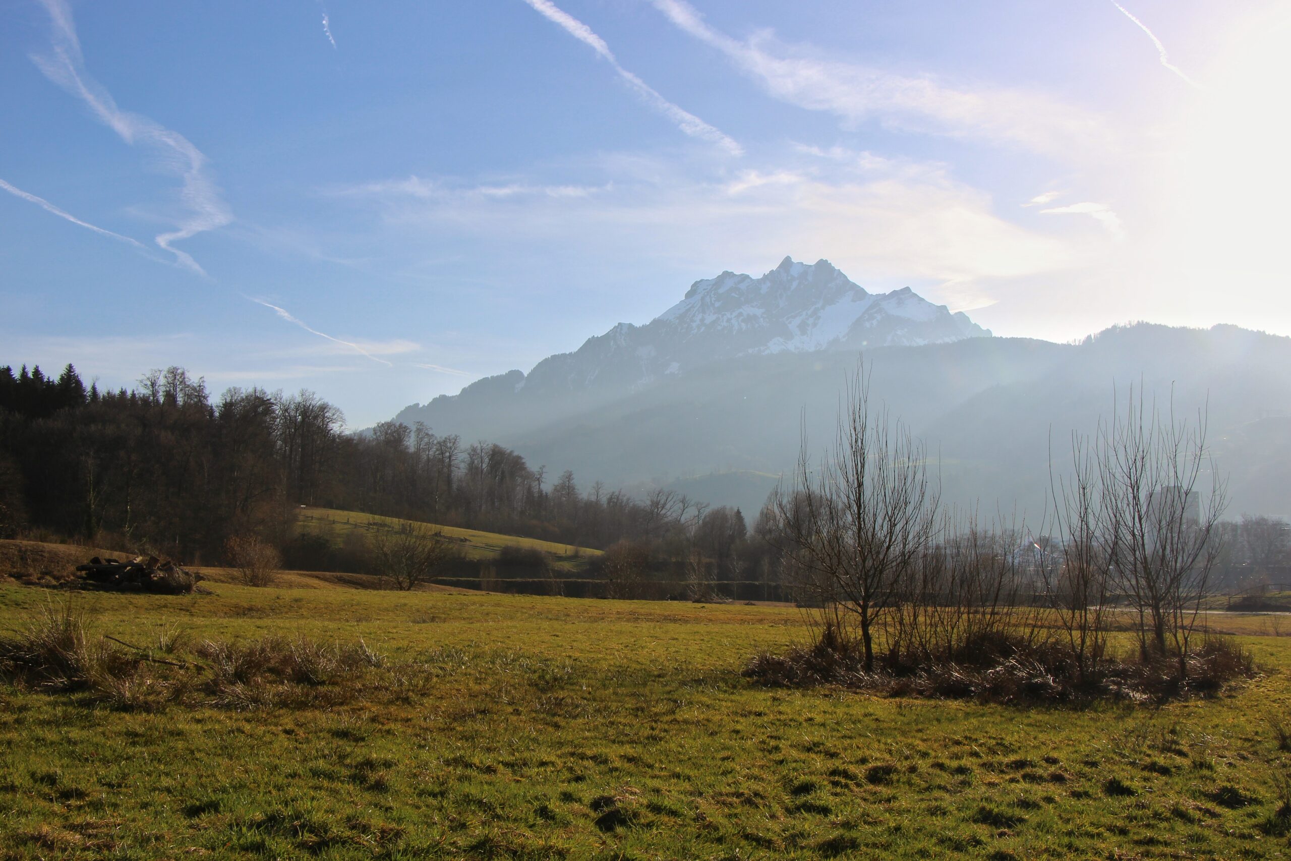 NATURERLEBNISGEBIET ALLMEND | Blog Luzern-Vierwaldstättersee