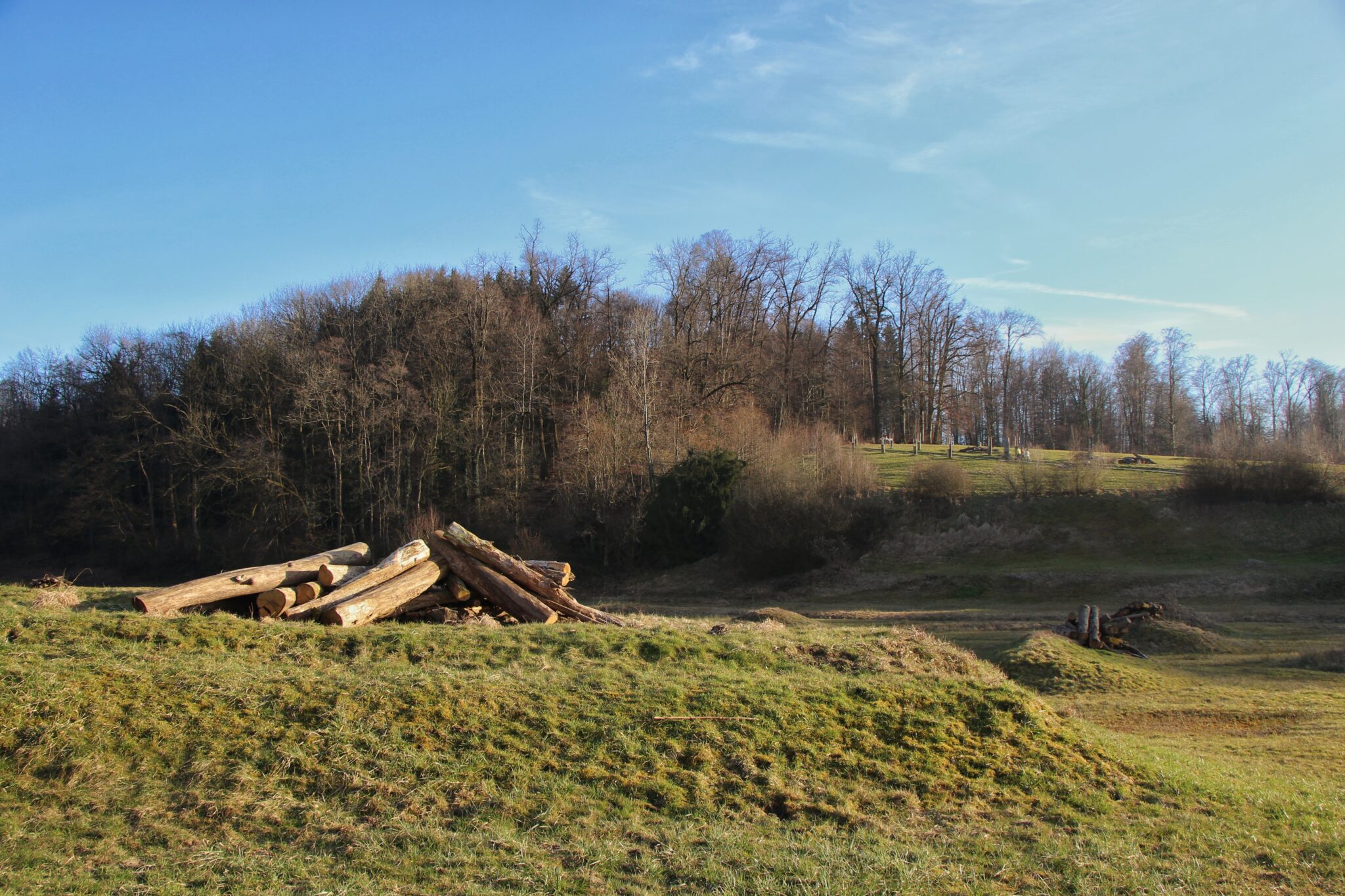 NATURERLEBNISGEBIET ALLMEND | Blog Luzern-Vierwaldstättersee