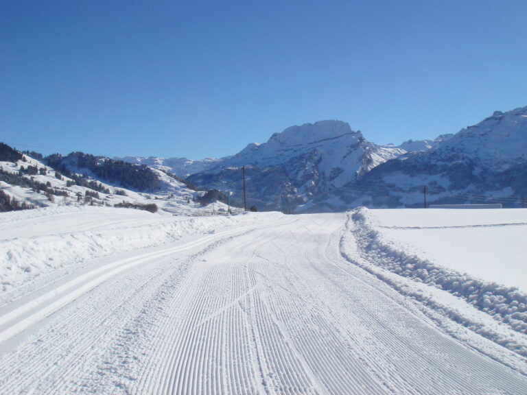LANGLAUF IN SCHWYZ | Blog Luzern-Vierwaldstättersee