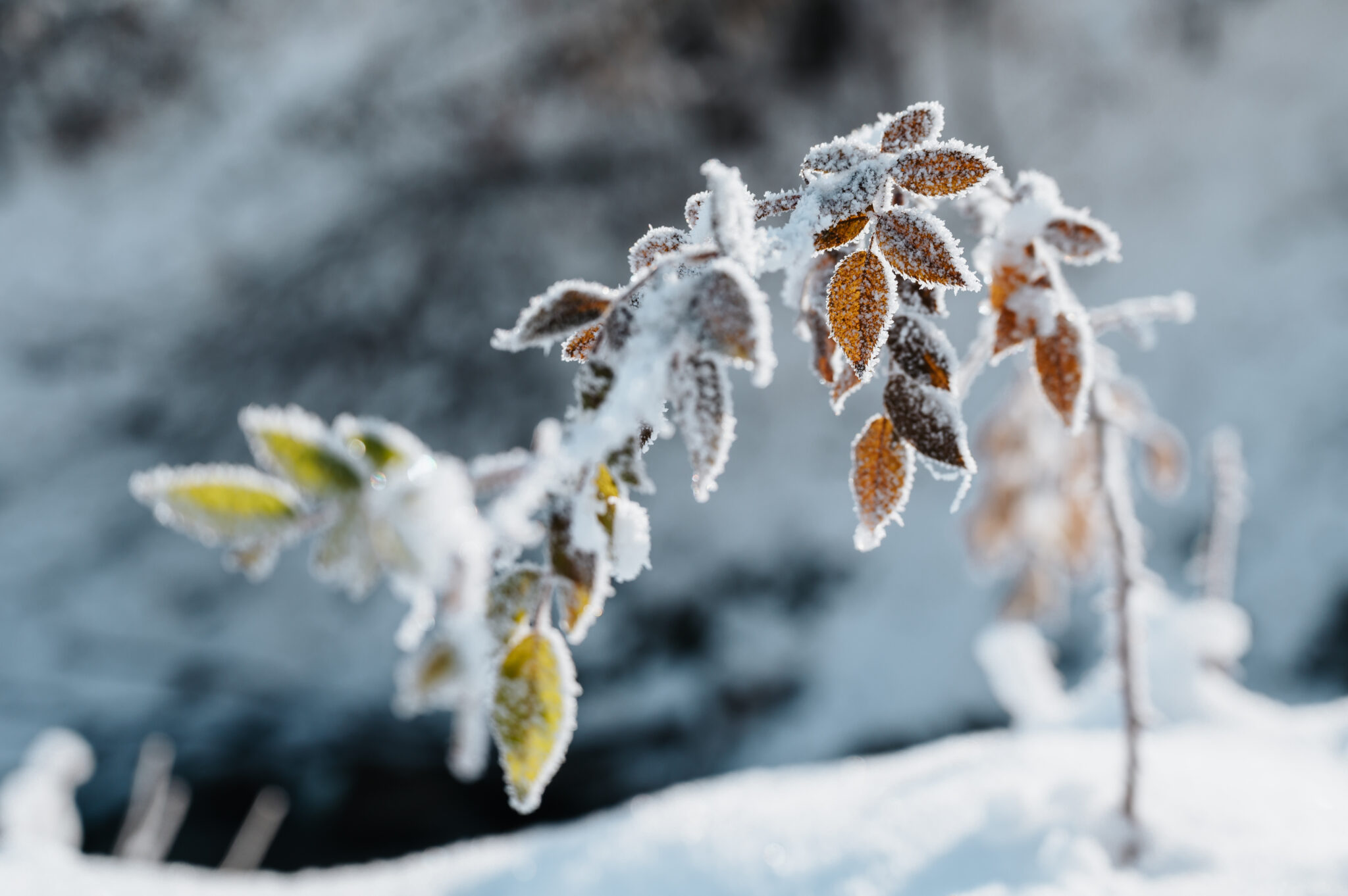 OUTDOOR FONDUE ENTLEBUCH | Blog Luzern-Vierwaldstättersee