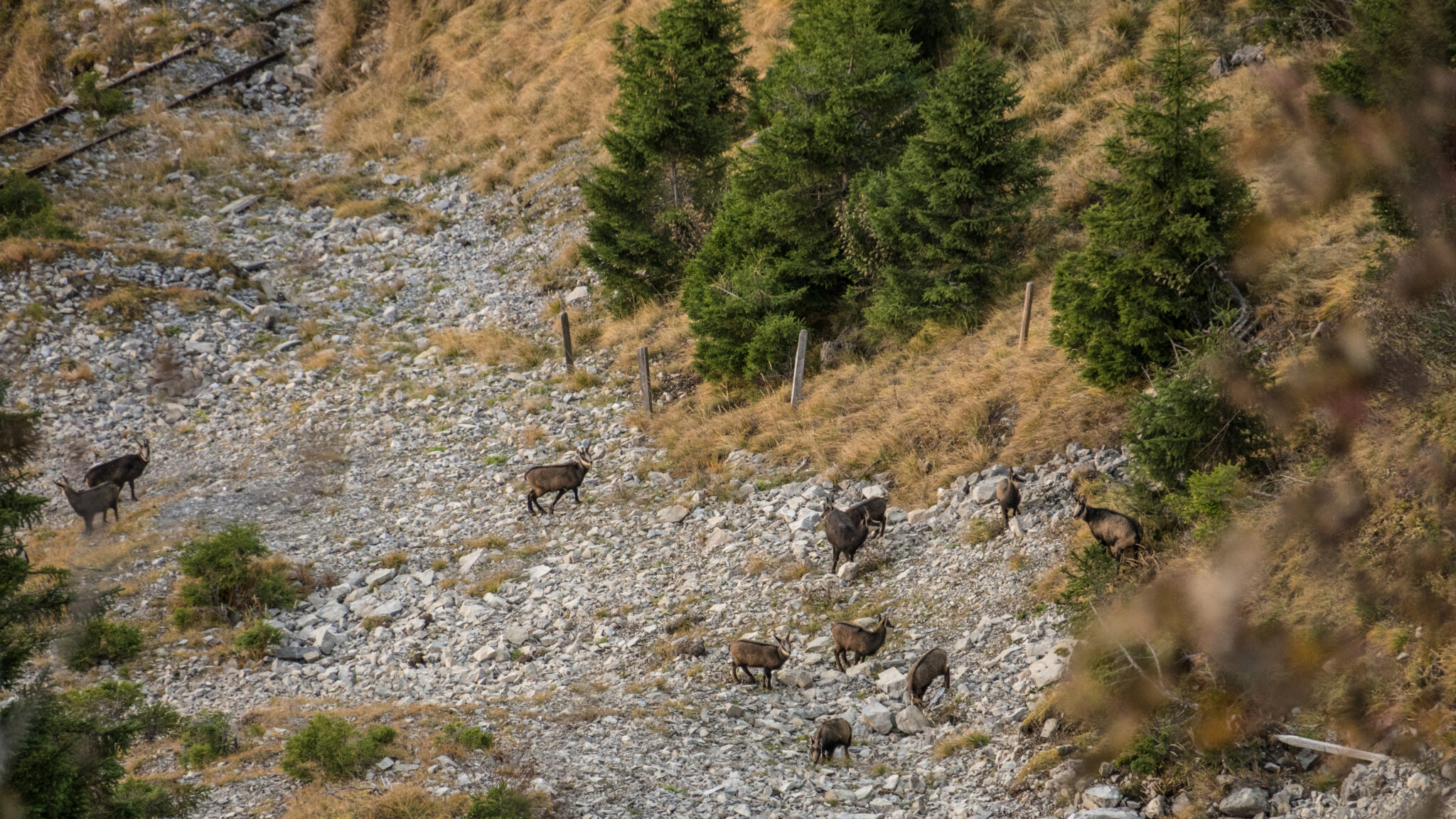 15 JAHRE STANSERHORN-RANGER | Blog Luzern-Vierwaldstättersee