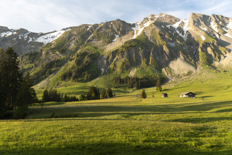 ALPLEBEN AUF DER ALP SCHLACHT | Blog Luzern-Vierwaldstättersee