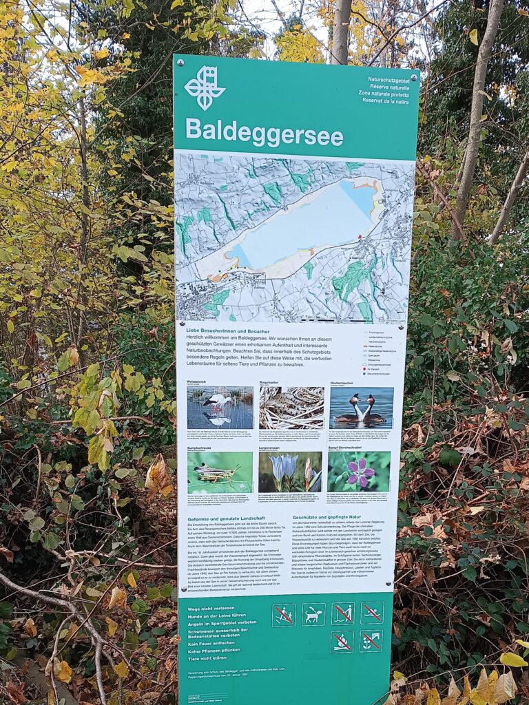 RUNDWEG UM DEN BALDEGGERSEE IM SEETAL | Blog Luzern-Vierwaldstättersee